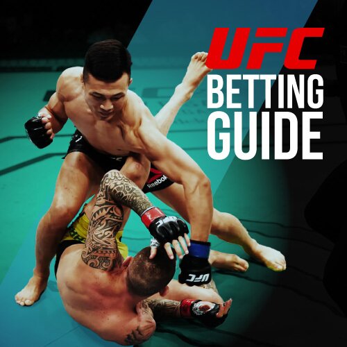 How To Bet On UFC | Bet Types, Odds, Tips & Strategies for MMA